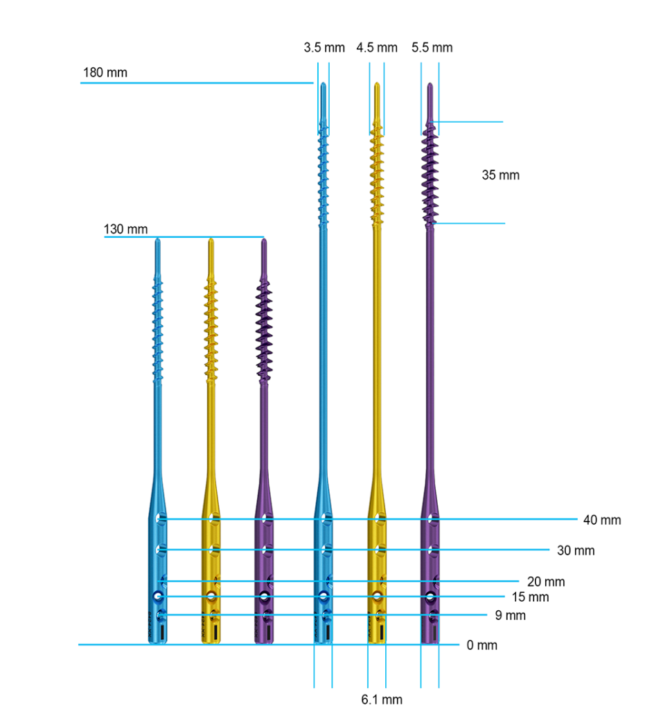FlexThread™ - Conventus Flower Orthopedics